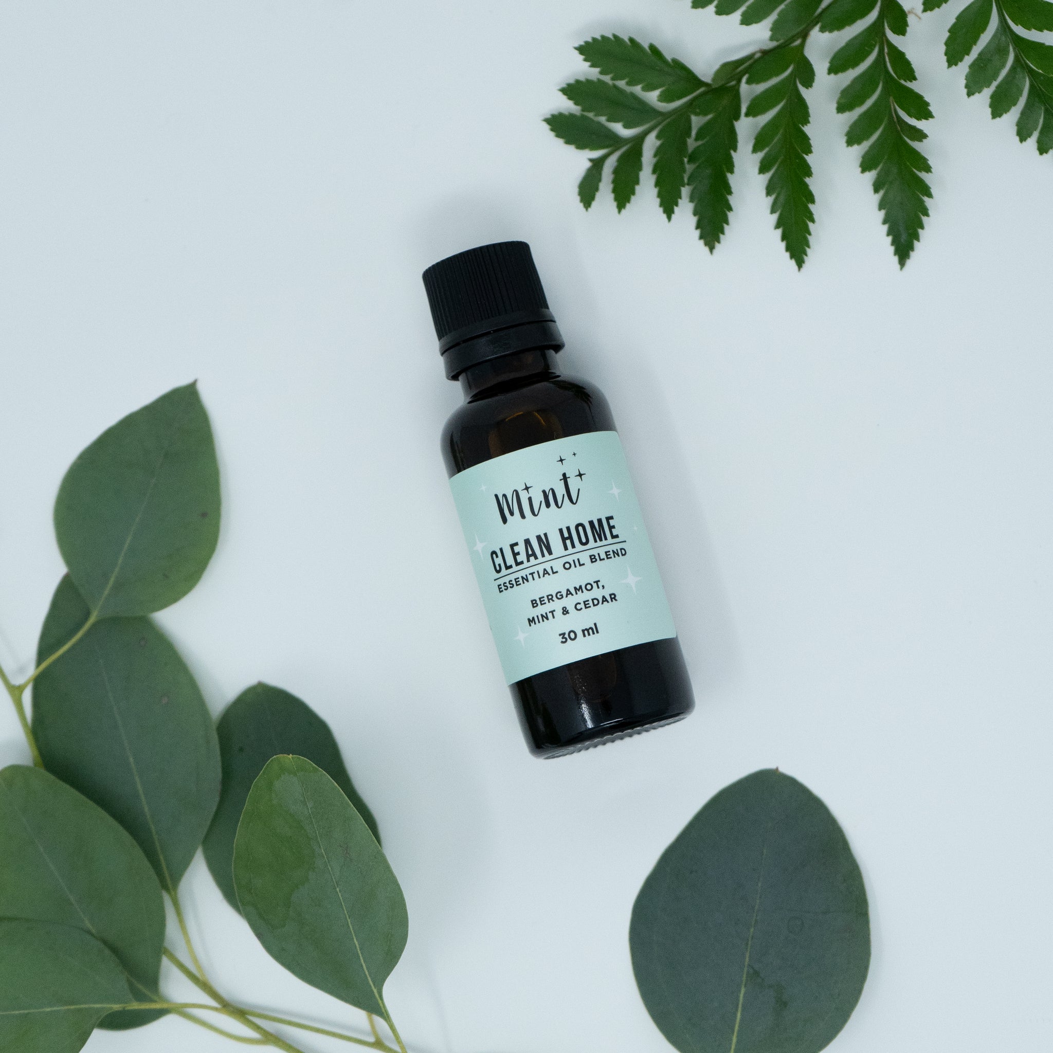 Clean Home - Essential Oil Blend – Mint Cleaning